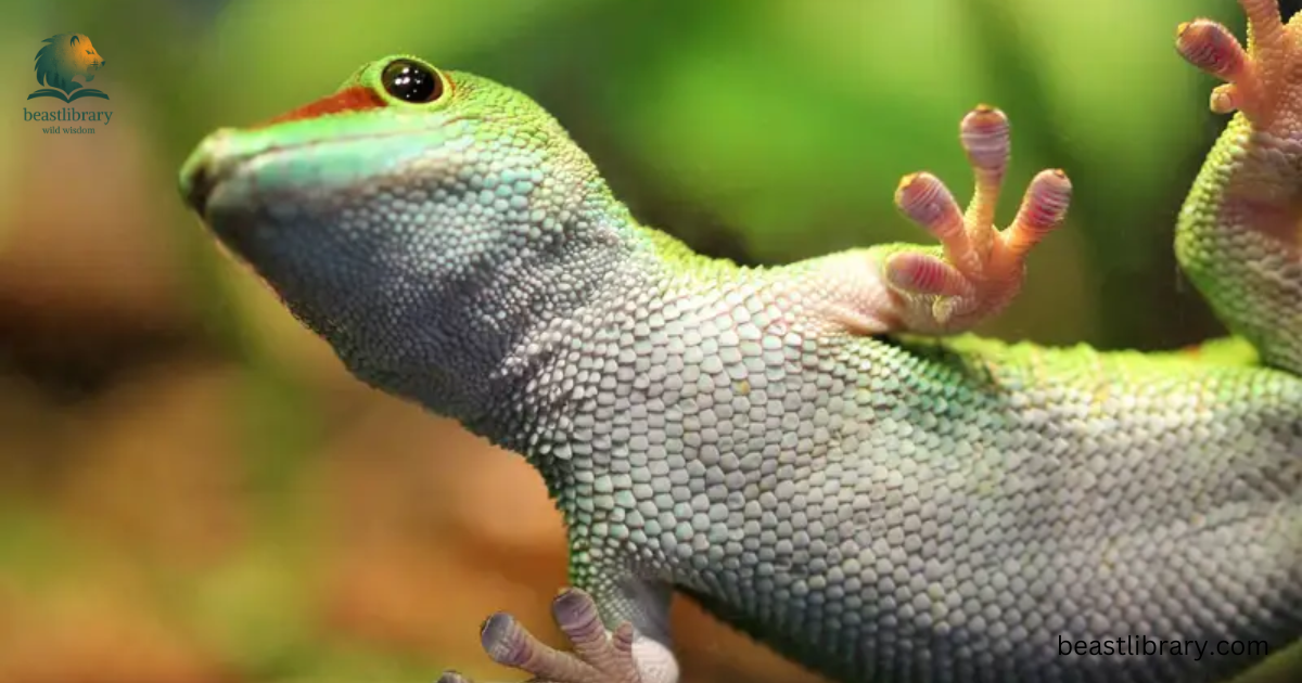 Top 15 Animals With Webbed Feet